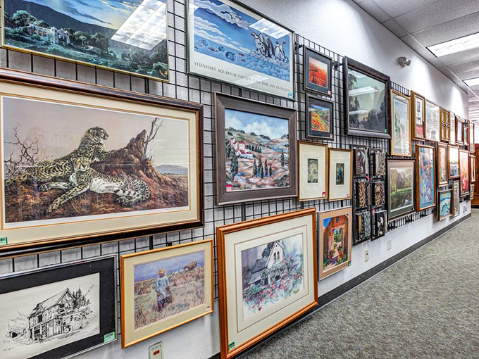 The art wall: where landscapes, wildlife prints, and forgotten masterpieces await adoption. That leopard looks ready to leap right into your living room.