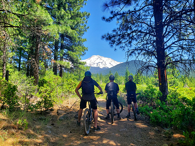 Mountain biking with Mount Shasta as your compass. When "getting lost" means finding exactly what you've been looking for.
