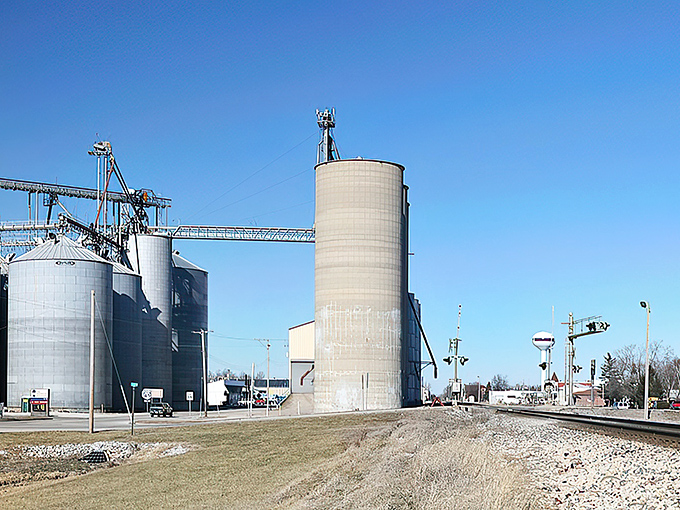 Massive grain elevators dominate Arcola's skyline, a reminder that agriculture remains the backbone of this hardworking Illinois community.