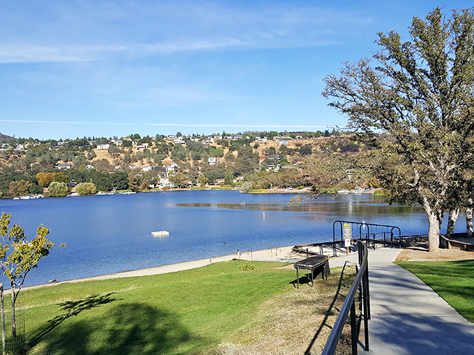 A lakeside retreat where the hardest decision of your day might be whether to read another chapter or take another dip.