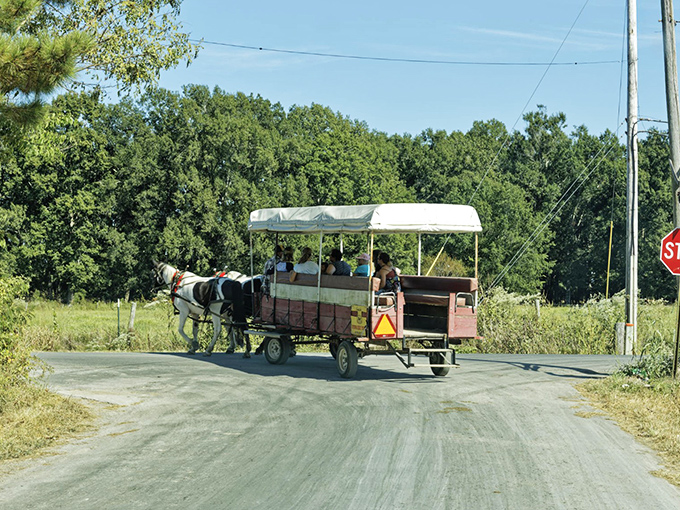 All aboard the original sightseeing tour&mdash;where the horsepower is actually just one horse, and the air conditioning is whatever breeze Tennessee provides.