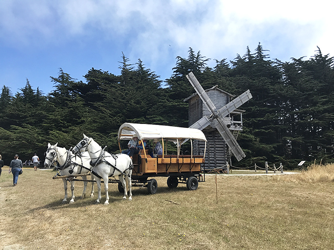 Horse-drawn wagon rides near the windmill? This living history experience makes time travel possible without breaking any laws of physics.
