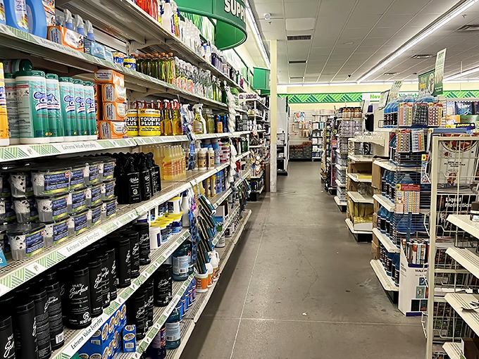 The household essentials aisle&mdash;where practical meets affordable in a dance as old as commerce itself.