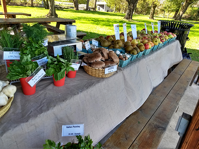 The Huntingdon Farmers' Market displays nature's bounty with the kind of fresh produce that makes you wonder why you ever settled for supermarket tomatoes.