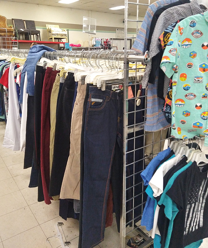 Denim democracy: jeans for every body type, hanging in perfect harmony. The United Nations of pants, where all waistlines are welcome.