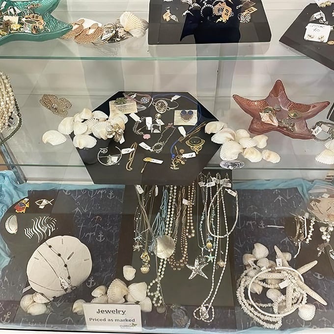 Seashells and sparkles share display space in this jewelry case&mdash;proof that one person's discarded accessories become another's statement pieces.
