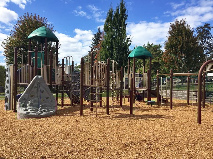 Joel Perkins Park offers a modern playground where kids can burn energy while parents contemplate which antique shop to hit next.