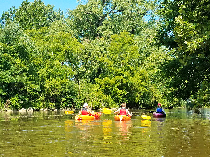 Kayaking the gentle Vermilion River&mdash;nature's version of a therapy session, but with better scenery and occasional turtle sightings.