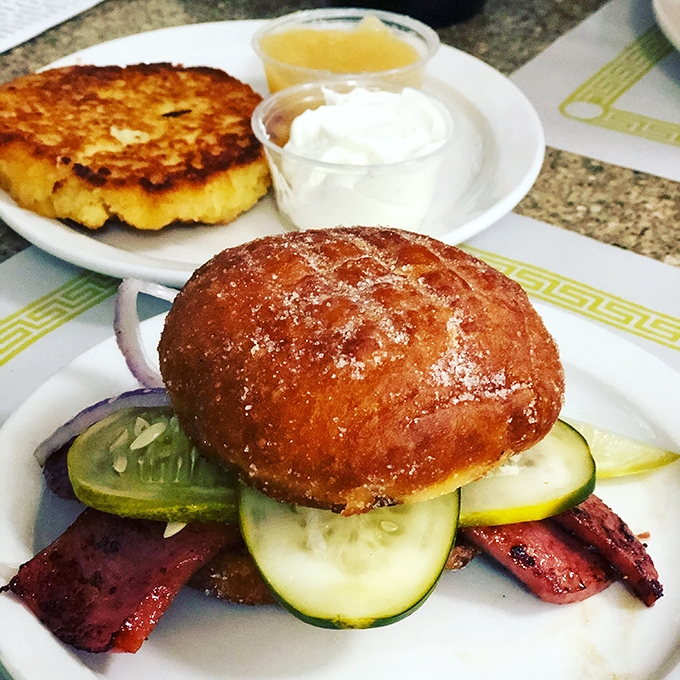 This kielbasa creation celebrates Eastern European heritage wrapped in deli tradition and genuine craftsmanship.