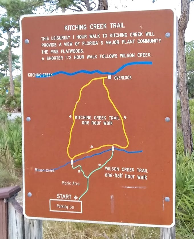 Kitching Creek Trail map promises a one-hour journey through pine flatwoods. Florida's version of a forest bathing spa day.