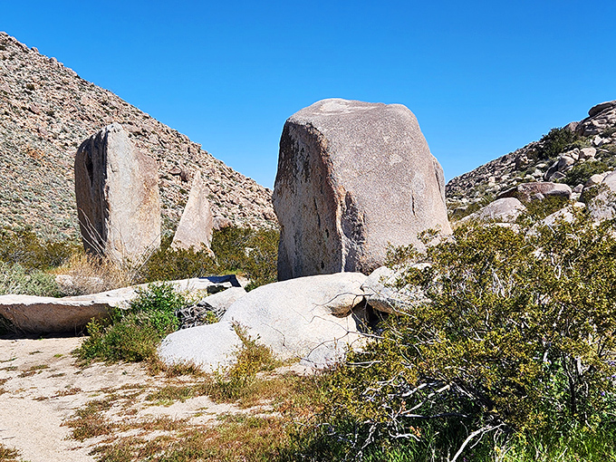 Nature's own meditation stones. These massive boulders have been practicing stillness for millennia &ndash; the original zen masters.