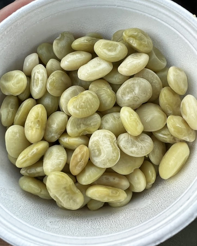 Lima beans served without pretension or apology. In a world of complicated vegetables, these humble legumes keep it refreshingly straightforward.
