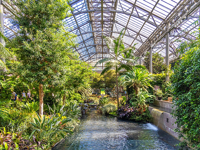 Longwood's Conservatory creates a tropical vacation without the TSA pat-down&mdash;lush greenery, flowing water, and humidity that's actually welcome.