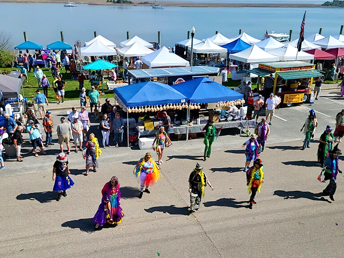 Waterfront festivals bring the community together in a kaleidoscope of colors, proving Apalachicola knows how to throw a proper shindig.
