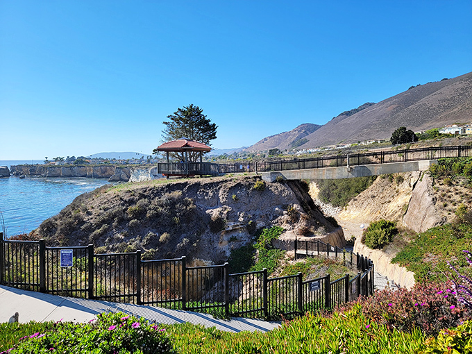 Margo Dodd Park's clifftop gazebo offers the perfect proposal spot &ndash; or just a place to contemplate how small we are against that endless blue horizon.