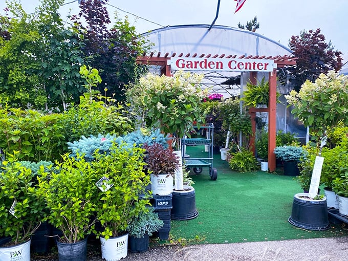 Molyet's Garden Center proves that in Tiffin, even your houseplants can live affordably while enjoying the good life.
