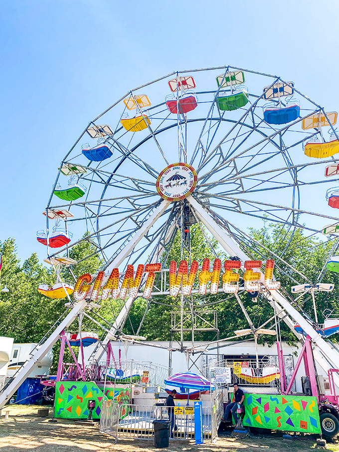 The Mother Lode Fair's Giant Wheel offers views of the Sierra foothills and a reminder that simple pleasures still outrank complicated technology.