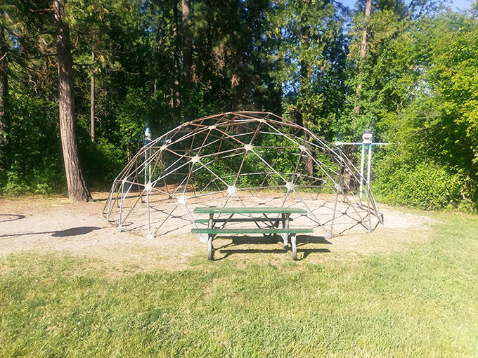 The geodesic dome at Mount Shasta City Park isn't just Instagram-worthy&mdash;it's where picnics level up from casual meals to memorable experiences.