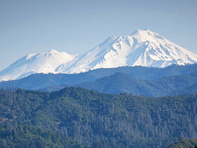 Mount Shasta watches over everything like a snow-capped guardian, making even grocery runs feel majestic.