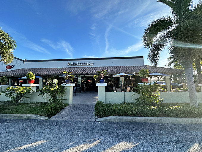 Mr. Jalape&ntilde;o's inviting patio promises authentic flavors and tropical ambiance&mdash;where margaritas and palm trees create the perfect Florida evening.