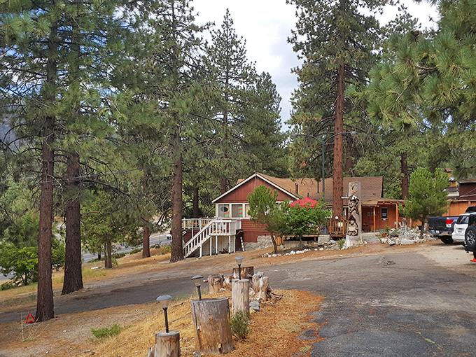 Rustic cabins that remind you why "roughing it" used to be America's favorite form of luxury before infinity pools came along.
