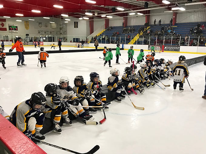 Youth hockey in full swing at the Sportsplex. These kids aren't just playing&mdash;they're auditioning for their future starring roles in Tim Allen's Michigan tourism commercials.
