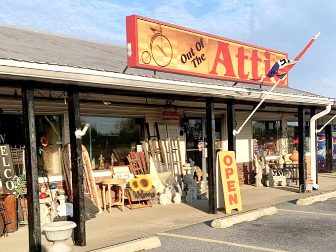 "Out of the Attic" perfectly captures the magic of discovering forgotten treasures in unexpected Delaware corners.