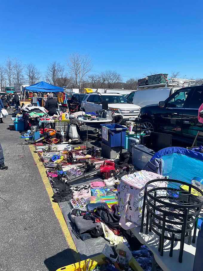 Open-air treasure hunting where the sky's the limit and bargains bloom under sunny skies.