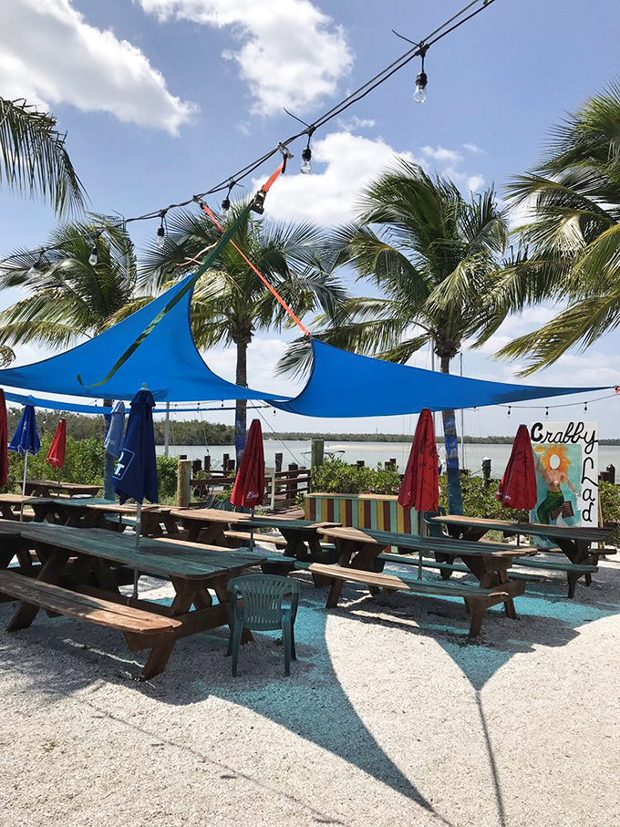 Picnic tables under blue canopies&mdash;because sometimes the best dining rooms have no walls, just sea breezes and palm trees overhead.