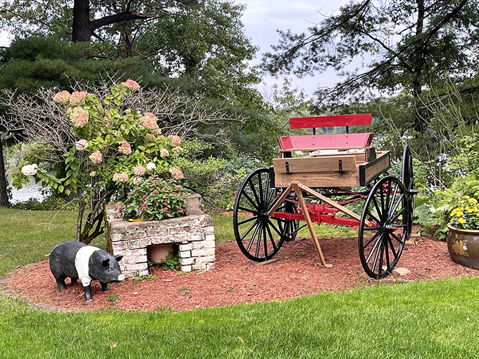 Whimsical garden touches—including that delightful pig statue—remind you that Wisconsin's charm extends beyond the plate to every corner of the property.