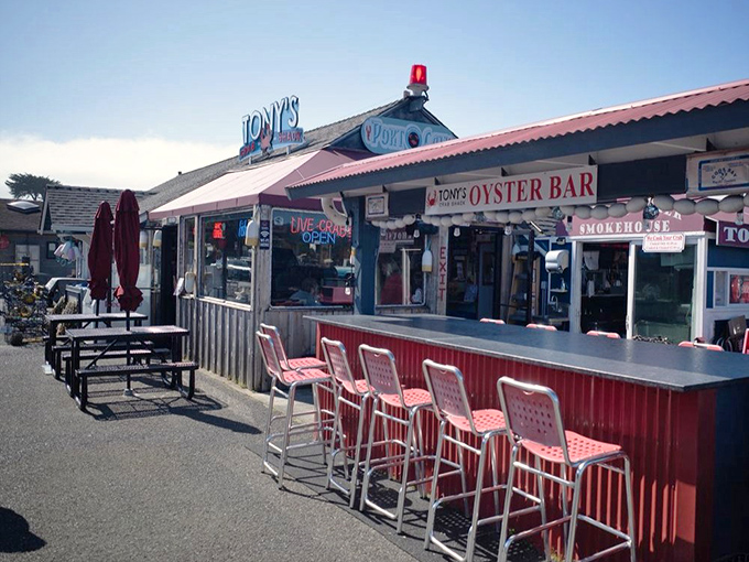 Where oysters go to show off. This outdoor bar is the stage where Bandon's briny stars perform their daily miracle of deliciousness.