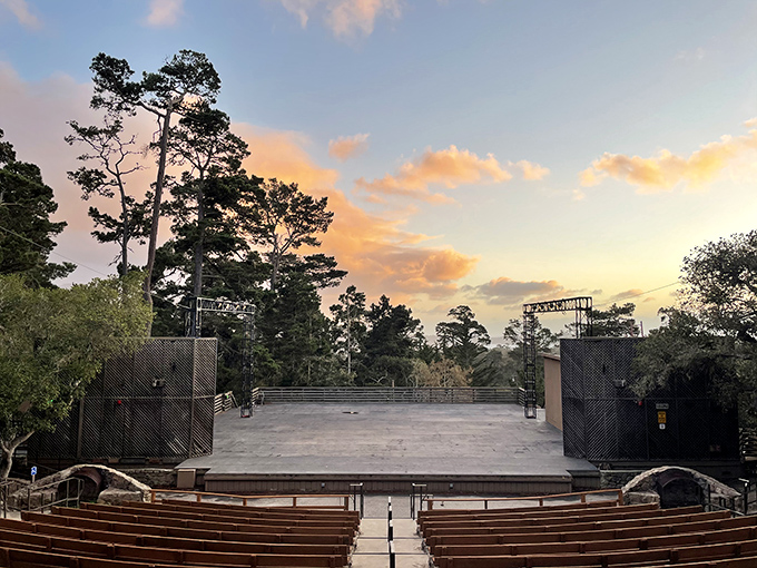 The Forest Theater brings Shakespeare and starlight together in perfect harmony &ndash; no bug spray required, but bring a blanket.