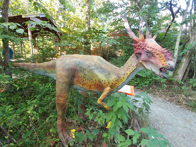 A horned dinosaur with distinctive head ornamentation demonstrates the variety of ceratopsian species beyond the famous Triceratops.