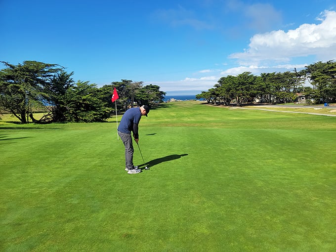 Pacific Grove Golf Links proves that even terrible golfers deserve ocean views that rival Pebble Beach without the second mortgage.