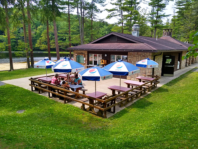 The park's concession area—where picnic tables and ice cream create the simple pleasures we all secretly crave.