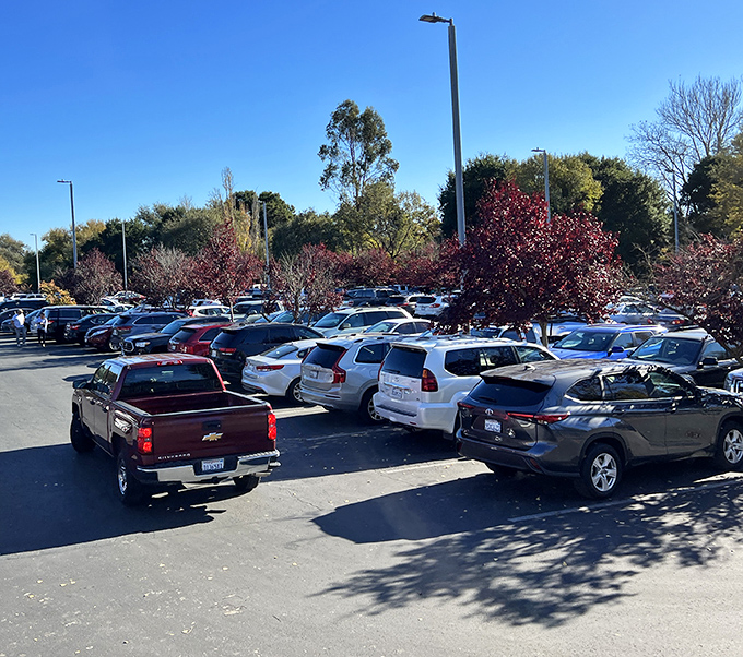 The packed parking lot tells the true story &ndash; when Californians vote with their wheels, Petaluma Village Premium Outlets clearly wins the popular vote.