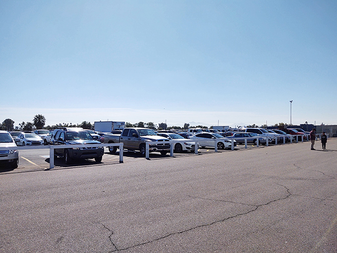 The parking lot fills early with treasure hunters' vehicles. Like an archaeological dig, the best finds go to those who arrive at dawn.