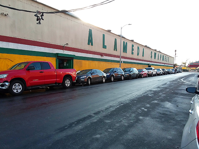 The parking lot stretches forever, filled with cars soon to be packed like automotive clown cars.