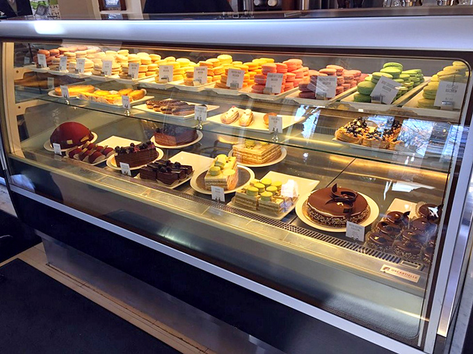 The display case&mdash;where dreams are arranged in neat rows and indecision becomes your only problem for the day.