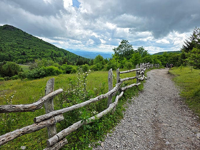The path less traveled beckons with rustic fencing and endless possibilities. Robert Frost would approve of this particular road in the woods.