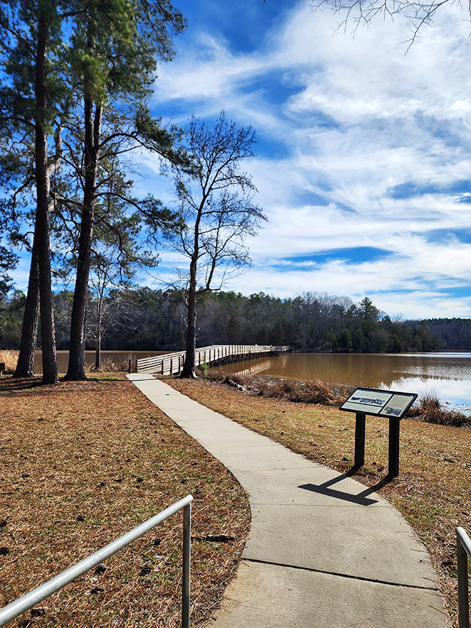 Winter reveals the park's bones&mdash;a wooden boardwalk stretching toward the horizon, promising solitude and contemplation for those who brave the off-season.