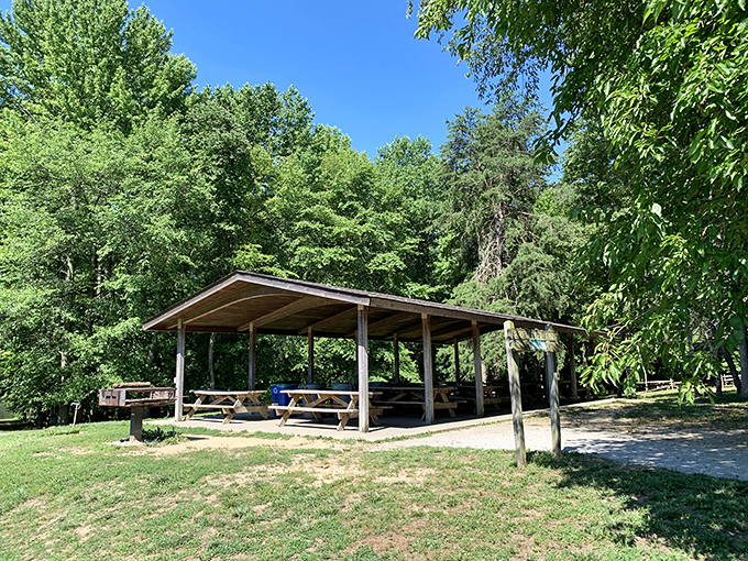The pavilion: where "I forgot the sunscreen" meets "I planned ahead." Picnic headquarters for the strategically minded outdoor enthusiast.