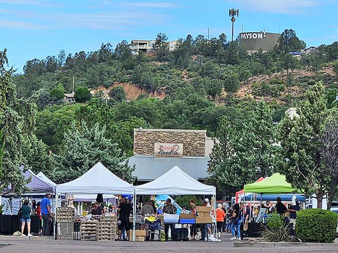 The farmers market sits beneath the town's namesake sign, where locals gather to debate tomato varieties with the seriousness of stock market analysts.