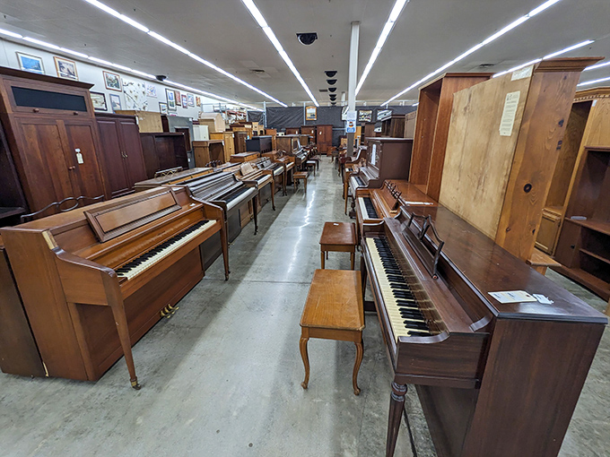 Piano row: where musical dreams await at prices that won't cause heart palpitations, unlike what my mother paid for my childhood lessons.