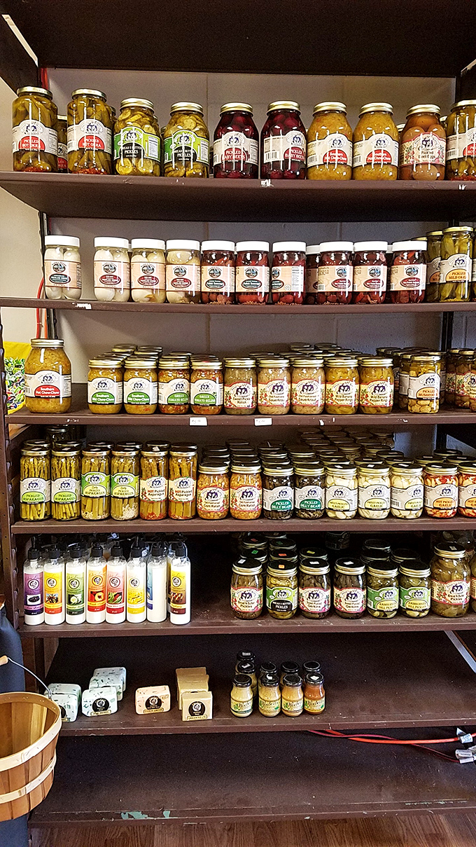 Mason jar magnificence! These pickled treasures and preserves capture South Carolina's agricultural bounty in glass time capsules of flavor.