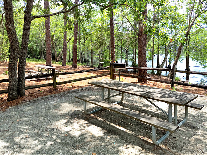 Lunch with a view: this shaded picnic area offers nature's dining room, where the only reservation needed is your own sense of timing.