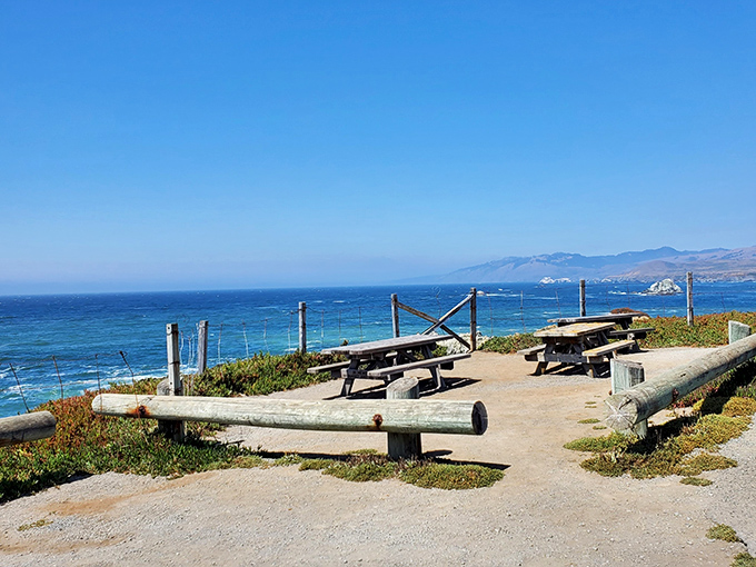 Picnic tables with million-dollar ocean views make lunch feel like fine dining.