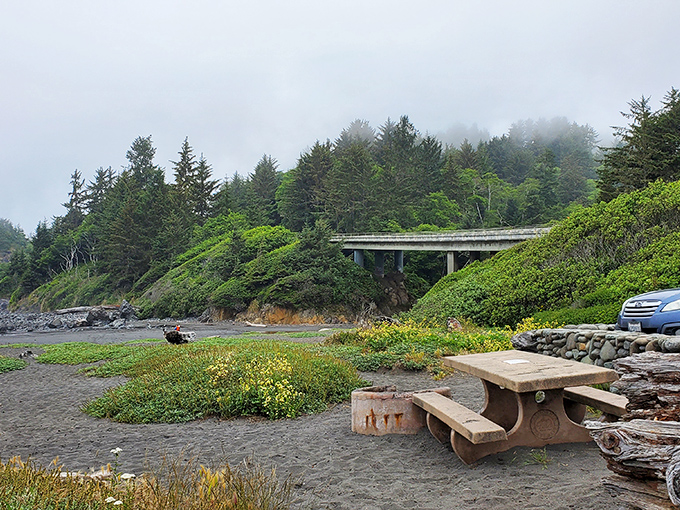 Picnic tables positioned perfectly for dining while ancient redwoods provide the ultimate fine dining atmosphere.