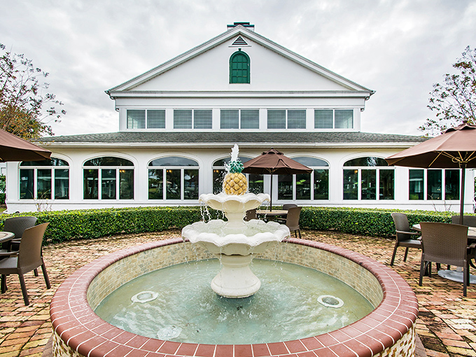 The Plantation Resort's pineapple fountain says "welcome to paradise" without a word. Southern hospitality meets Florida relaxation in this picture-perfect setting.
