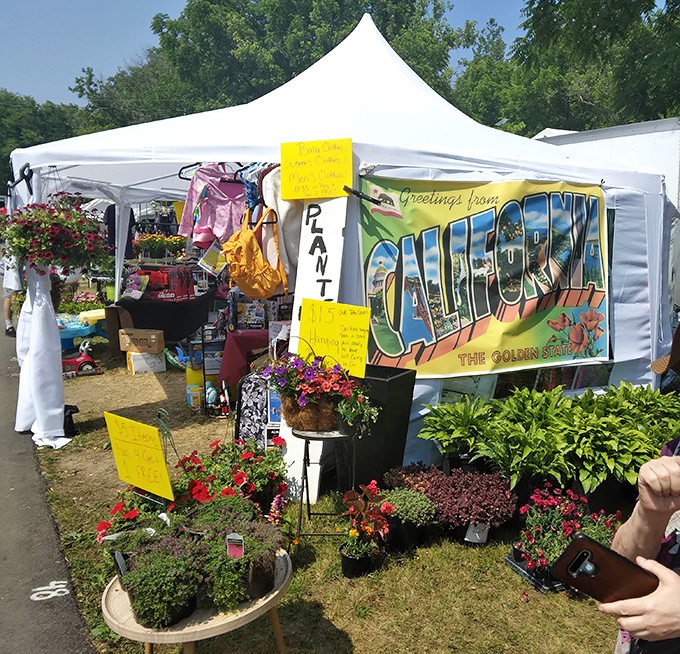 "Greetings from California" announces a plant vendor's cheerful display, proving that even in the heart of Indiana, a touch of Golden State sunshine is just a purchase away.